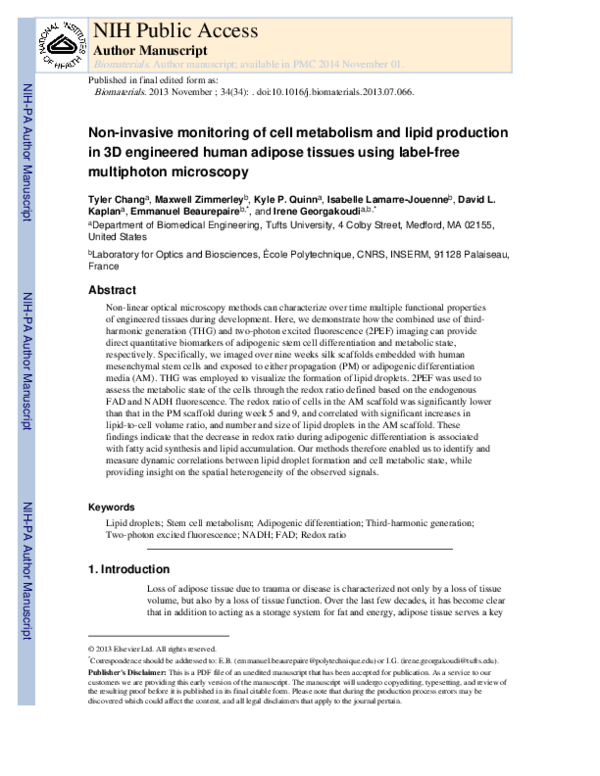(PDF) Non-invasive monitoring of cell metabolism and lipid production ...