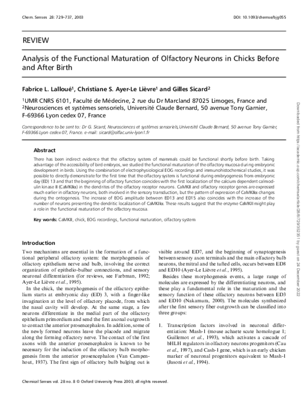 (PDF) Analysis of the Functional Maturation of Olfactory Neurons in ...