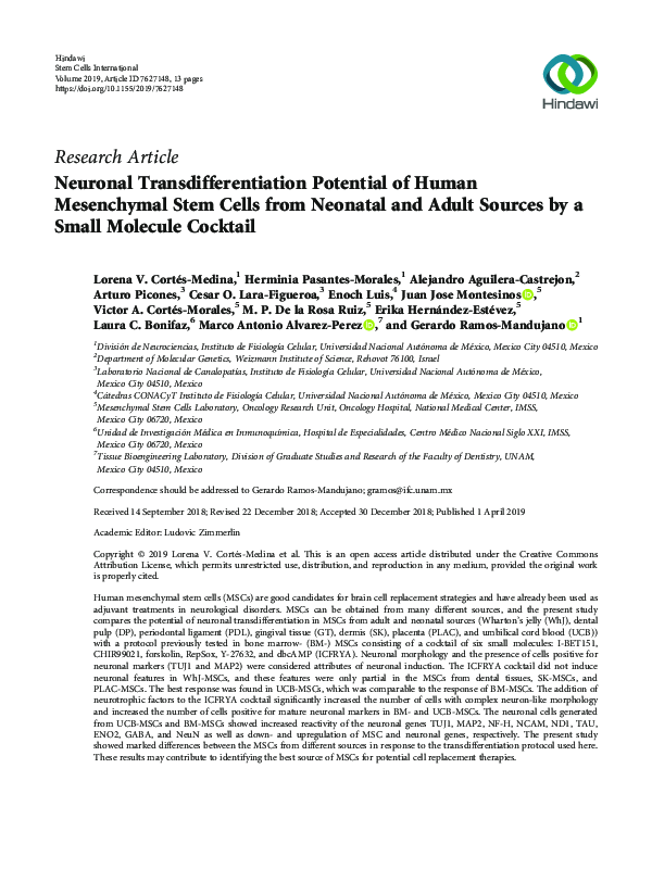 (PDF) Neuronal Transdifferentiation Potential of Human Mesenchymal Stem ...