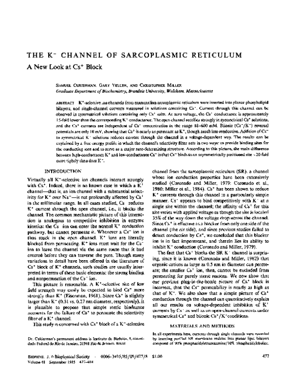 (PDF) The K+ channel of sarcoplasmic reticulum. A new look at Cs+ block