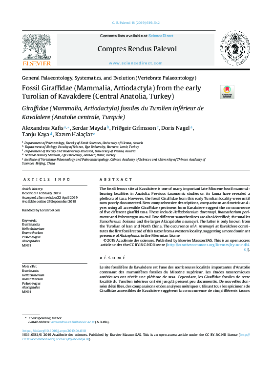 (PDF) Fossil Giraffidae (Mammalia, Artiodactyla) from Lee Adoyta, Ledi ...