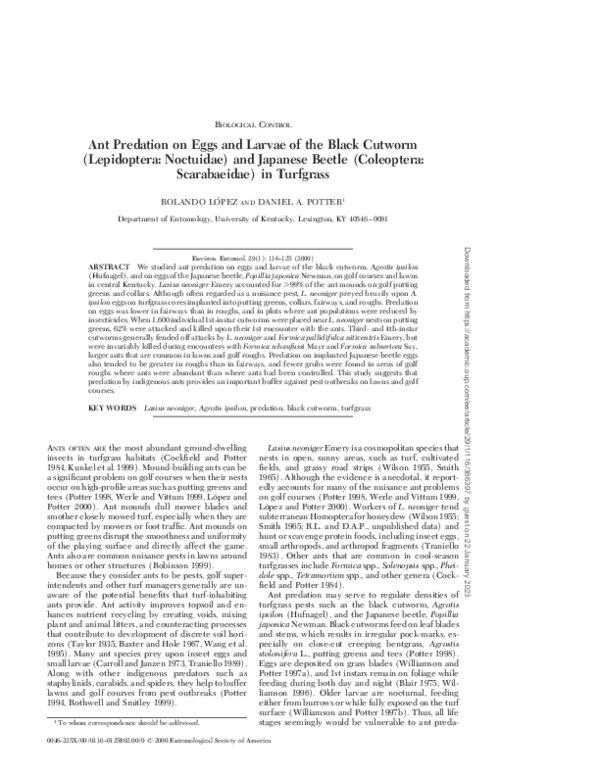 (PDF) Ant Predation on Eggs and Larvae of the Black Cutworm ...