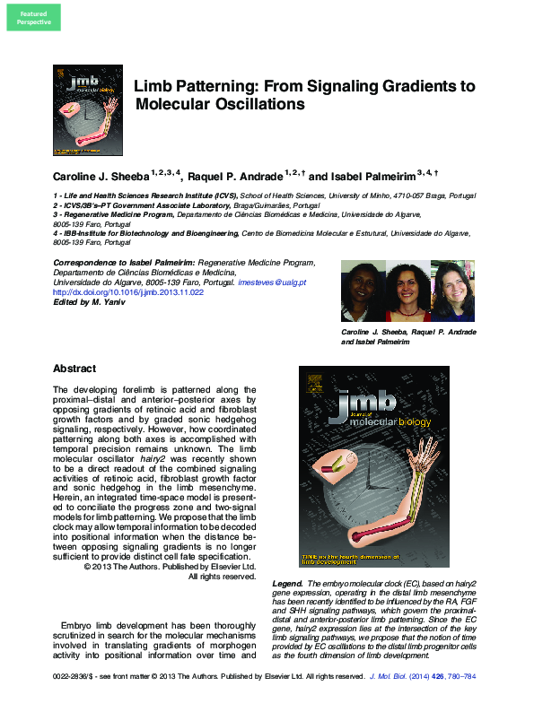 (PDF) Limb Patterning: From Signaling Gradients to Molecular ...