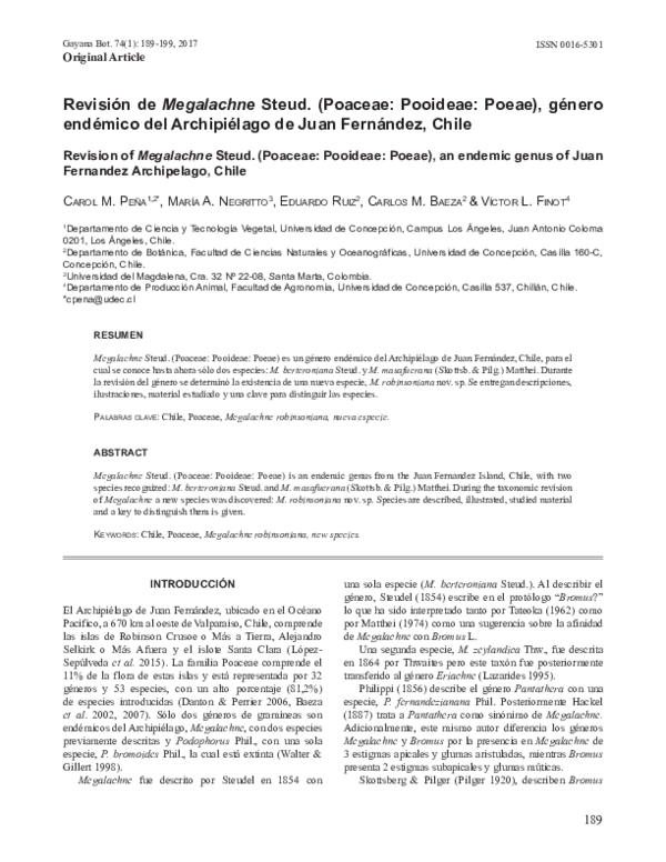 (PDF) Revisión de Megalachne Steud. (Poaceae: Pooideae: Poeae), género ...