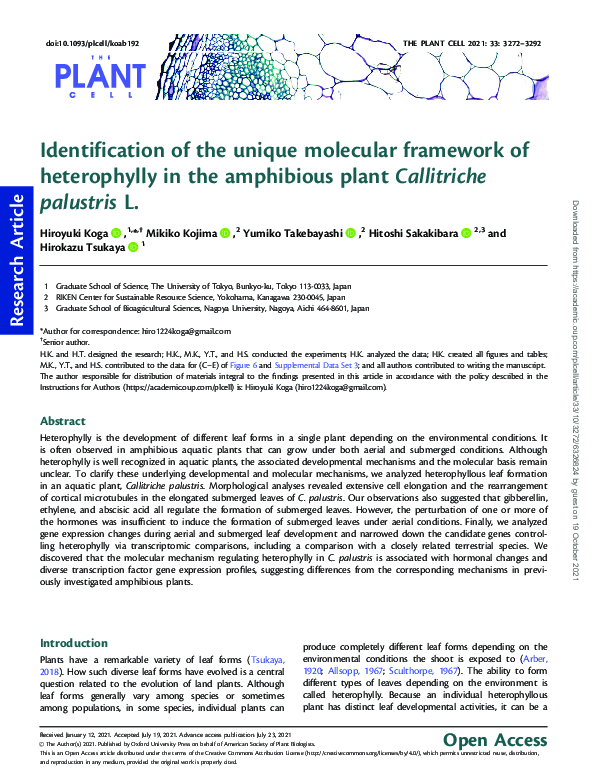 (PDF) Identification of the unique molecular framework of heterophylly ...