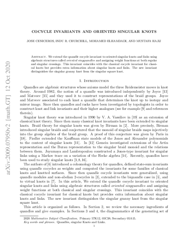 (PDF) Cocycle Invariants and Oriented Singular Knots