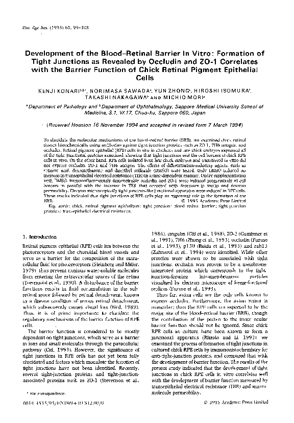 (PDF) Development of the blood-retinal barrier in vitro: Formation of ...