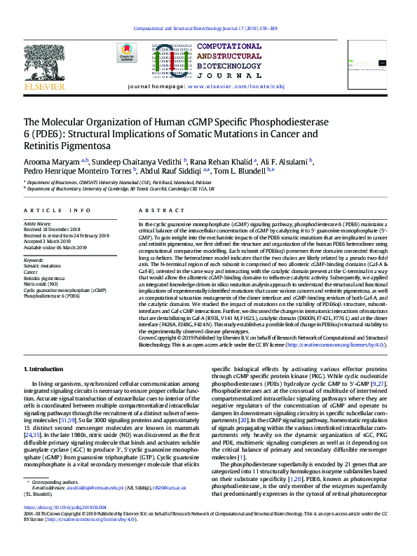(PDF) The Molecular Organization of Human cGMP Specific ...
