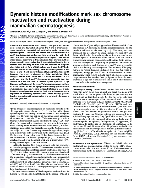 Pdf Dynamic Histone Modifications Mark Sex Chromosome Inactivation
