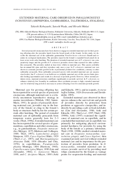 (PDF) Extended Maternal Care Observed in Parallorchestes Ochotensis ...