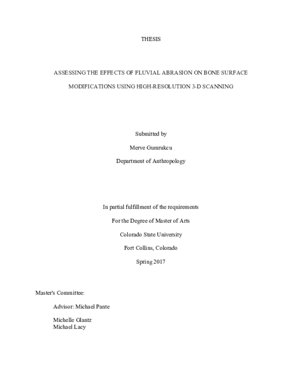 (PDF) Assessing the effects of fluvial abrasion on bone surface ...