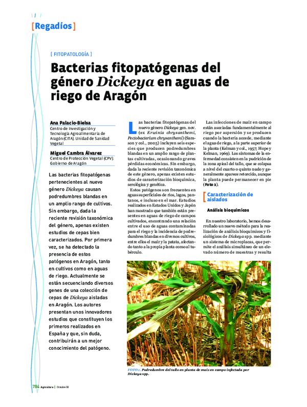 (PDF) Bacterias fitopatógenas del género "Dickeya" en aguas de riego de ...