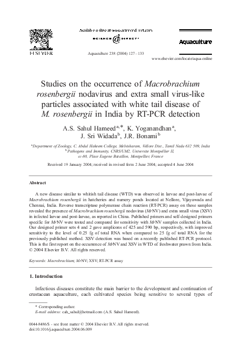 (PDF) Studies on the occurrence of Macrobrachium rosenbergii nodavirus ...