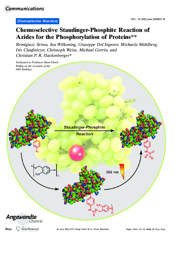 (PDF) Chemoselective Staudinger-Phosphite Reaction of Azides for the ...