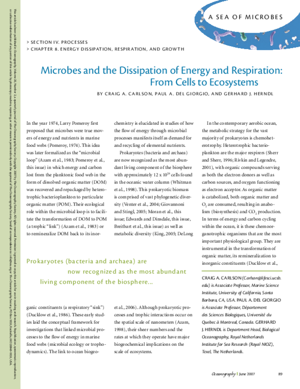 (PDF) Microbes and the Dissipation of Energy and Respiration: From ...