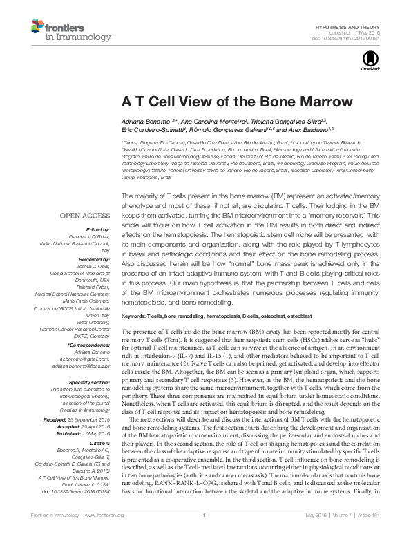 (PDF) A T Cell View of the Bone Marrow