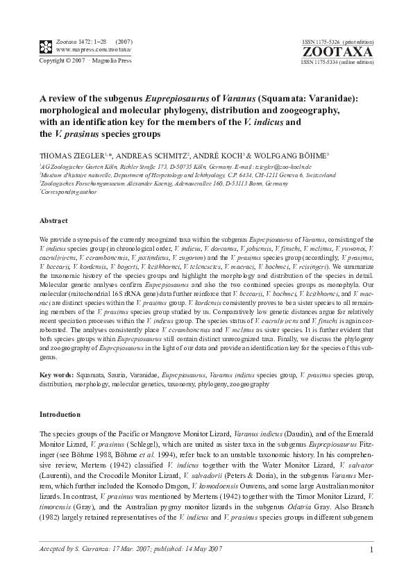 (PDF) A review of the subgenus Euprepiosaurus of Varanus (Squamata ...