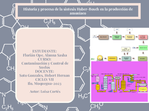(PDF) Historia y proceso de la síntesis Haber-Bosch en la producción de ...