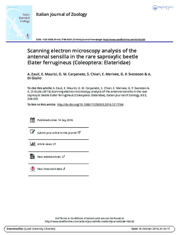 (PDF) Scanning electron microscopy analysis of the antennal sensilla in ...