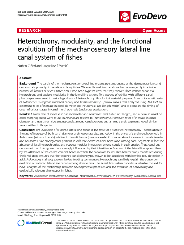 (PDF) Heterochrony, modularity, and the functional evolution of the mechanosensory lateral line ...