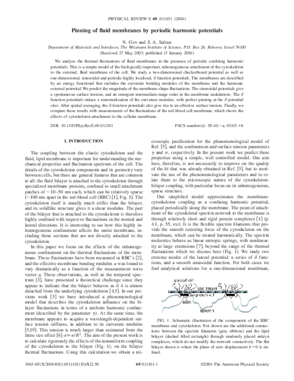 (PDF) Pinning of fluid membranes by periodic harmonic potentials