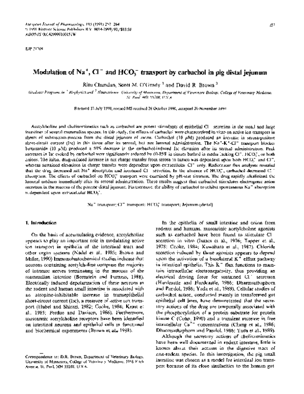 (PDF) Modulation of Na+, Cl− and HCO3− transport by carbachol in pig ...
