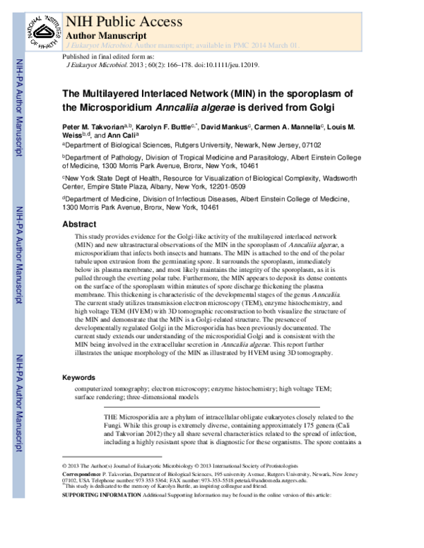 (PDF) The multilayered interlaced network (MIN) in the sporoplasm of ...