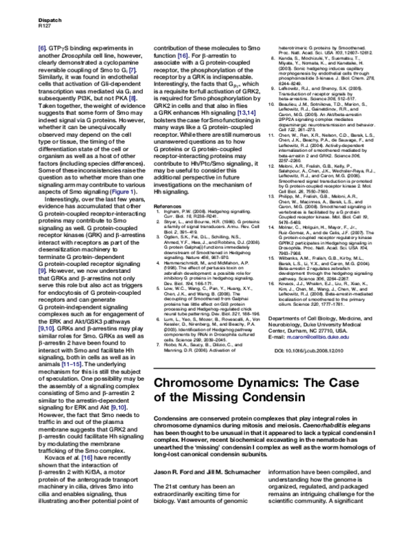 (PDF) Chromosome Dynamics: The Case of the Missing Condensin