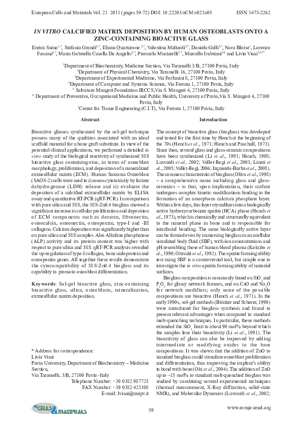 (PDF) In vitro calcified matrix deposition by human osteoblasts onto a ...