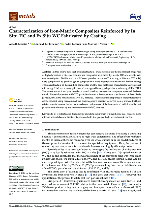 (PDF) Characterization of Iron-Matrix Composites Reinforced by In Situ ...