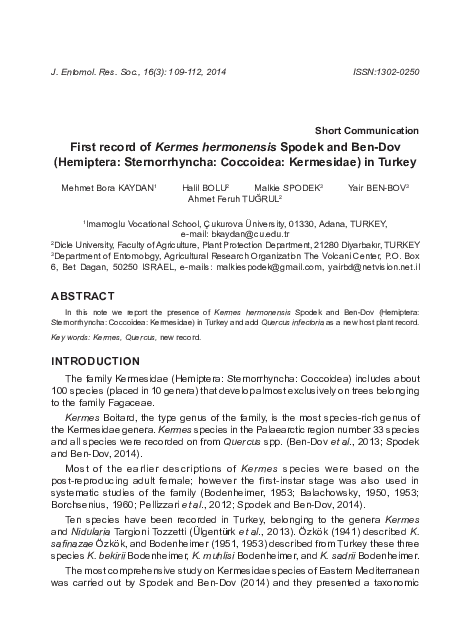 (PDF) First record of Kermes hermonensis Spodek and Ben-Dov (Hemiptera ...