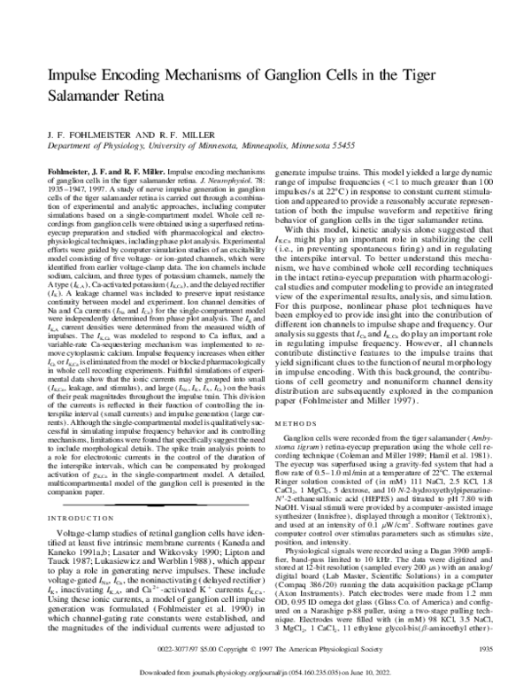 (PDF) Impulse Encoding Mechanisms of Ganglion Cells in the Tiger ...