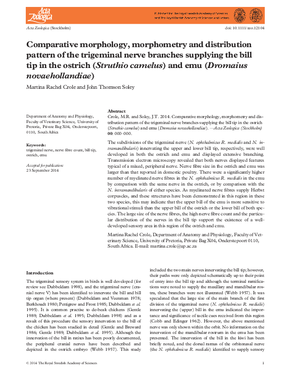 (PDF) Comparative morphology, morphometry and distribution pattern of the trigeminal nerve ...