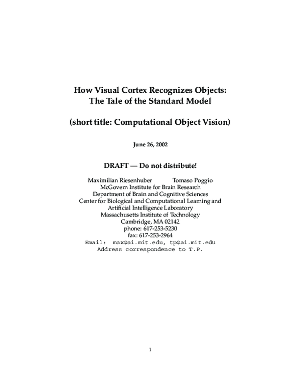 (PDF) How the Visual Cortex Recognizes Objects: The Tale of the Standard Model