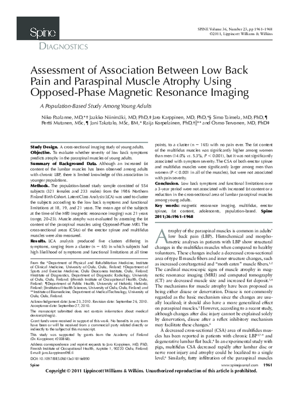 (PDF) Assessment of Association Between Low Back Pain and Paraspinal ...