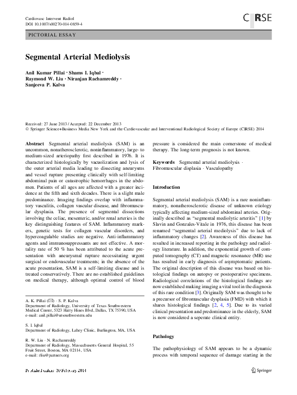 (PDF) Segmental arterial mediolysis, reparative phase: An analysis and ...