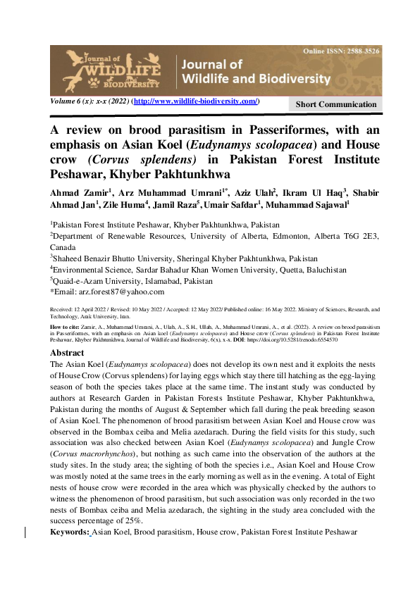 (PDF) A review on brood parasitism in Passeriformes, with an emphasis ...