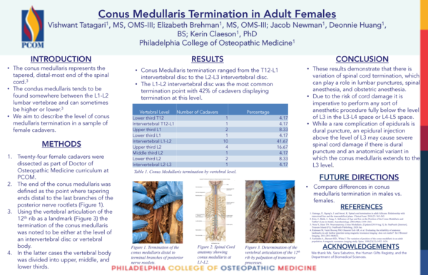 (PDF) Conus medullaris termination in adult females | Deonnie Huang ...