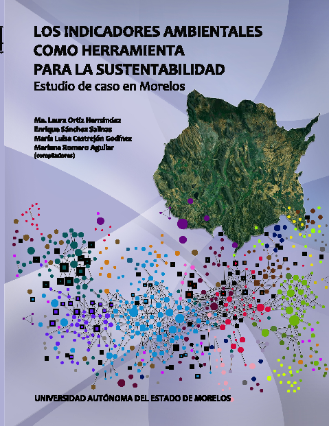 (PDF) Los indicadores ambientales como herramienta para la sustentabilidad: Estudio de caso en ...