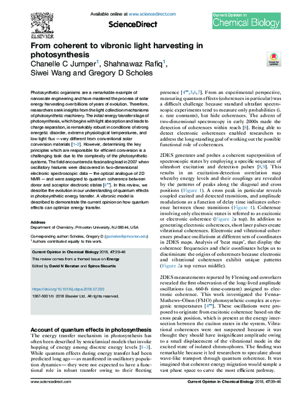 (PDF) From coherent to vibronic light harvesting in photosynthesis
