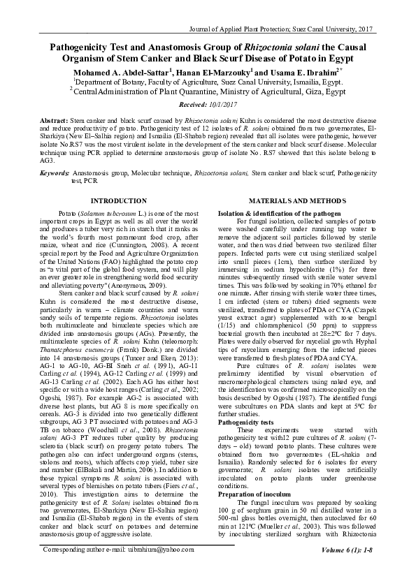 (PDF) Pathogenicity Test and Anastomosis Group of Rhizoctonia solani ...