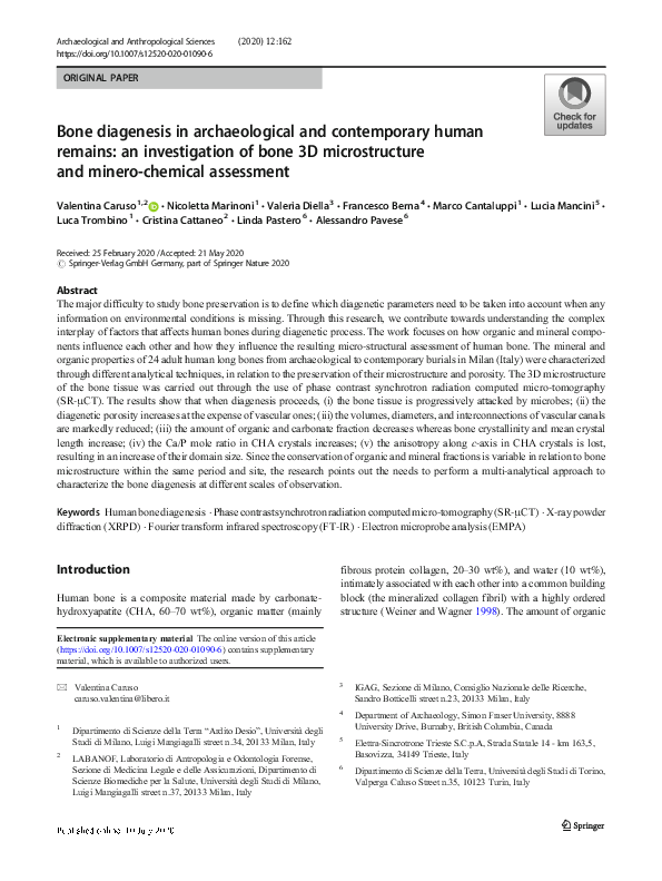 (PDF) Bone diagenesis in archaeological and contemporary human remains ...