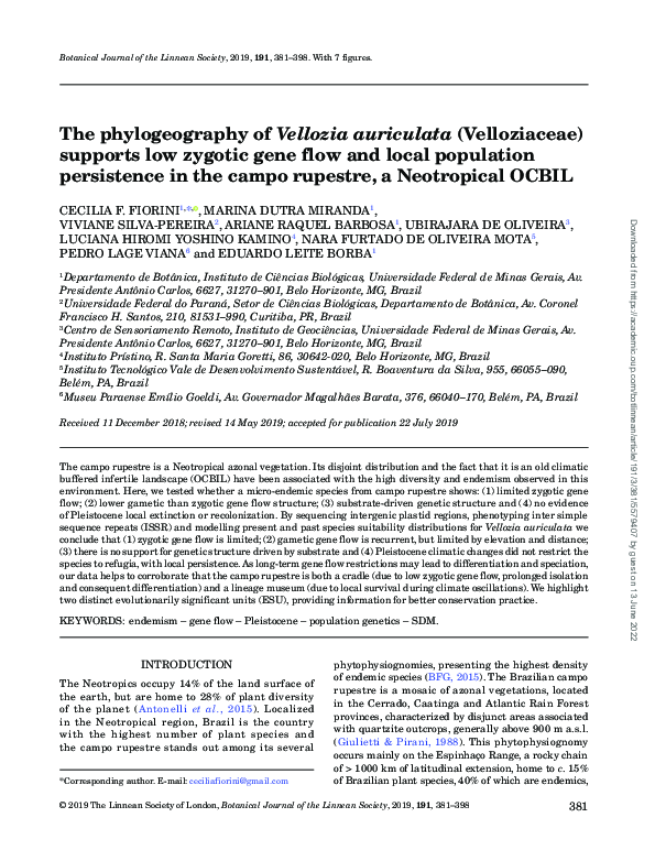 (PDF) The phylogeography of Vellozia auriculata (Velloziaceae) supports ...