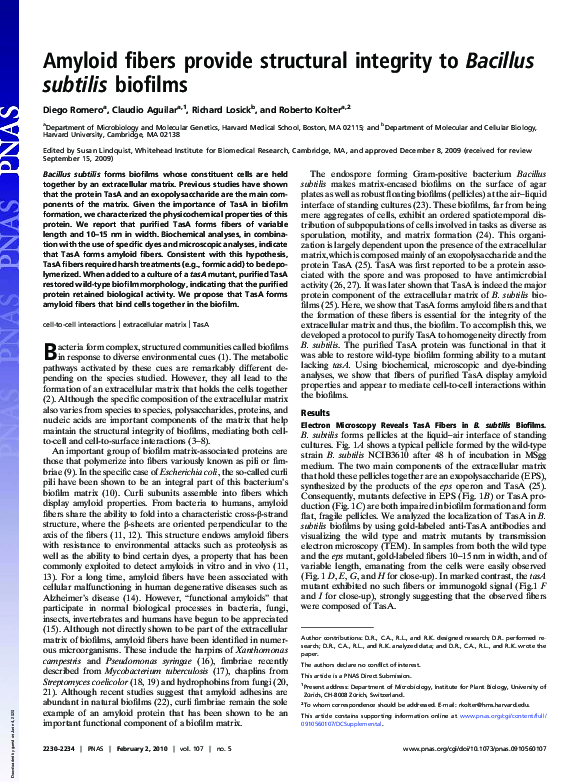 (PDF) Amyloid fibers provide structural integrity to Bacillus subtilis biofilms