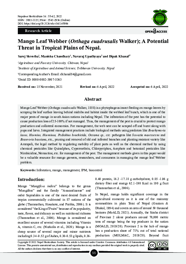 (PDF) Mango Leaf Webber (Orthaga euadrusalis Walker, (Pyralidae ...