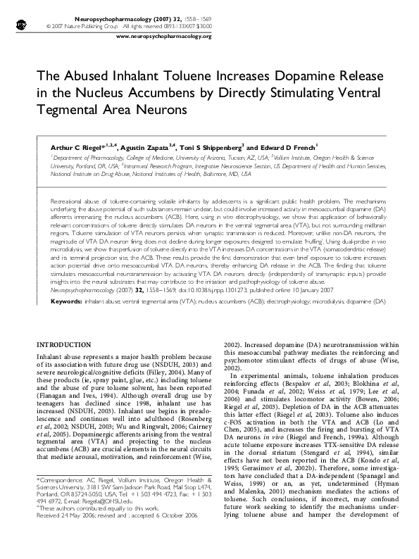 (PDF) The Abused Inhalant Toluene Increases Dopamine Release in the ...