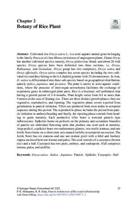 (PDF) Botany of Rice Plant