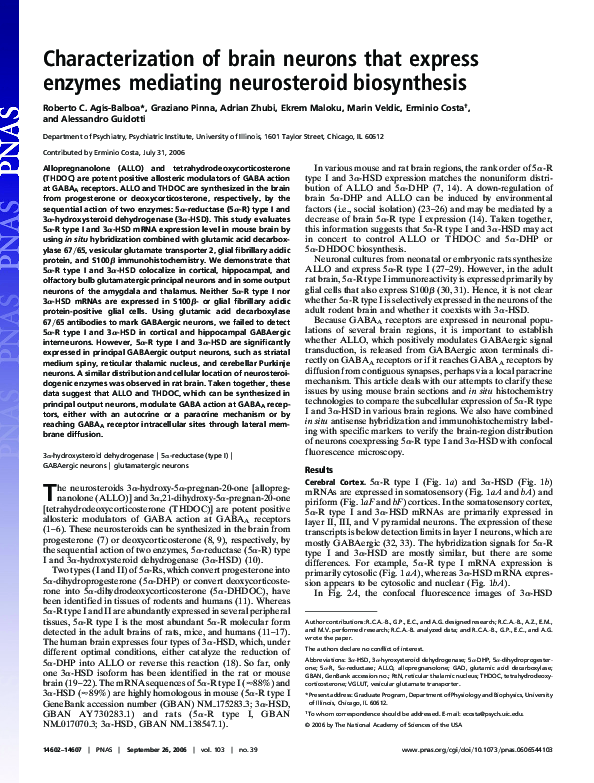 (PDF) Characterization of brain neurons that express enzymes mediating ...