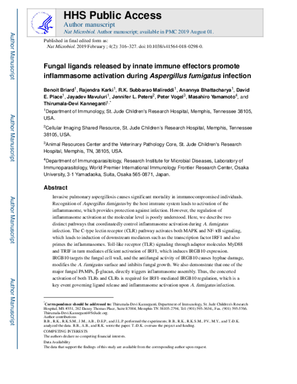 (PDF) Fungal ligands released by innate immune effectors promote ...