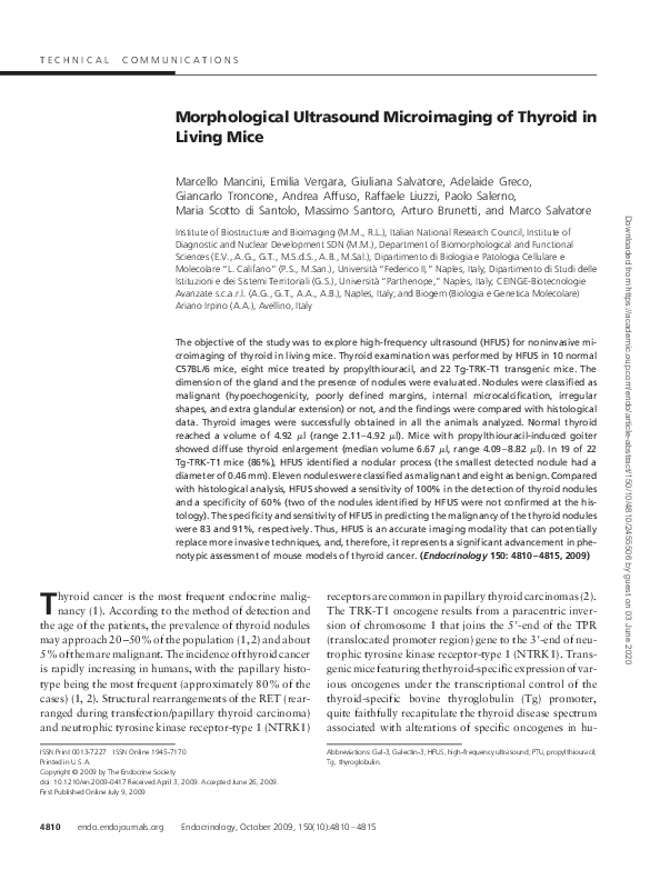 (PDF) Morphological Ultrasound Microimaging of Thyroid in Living Mice